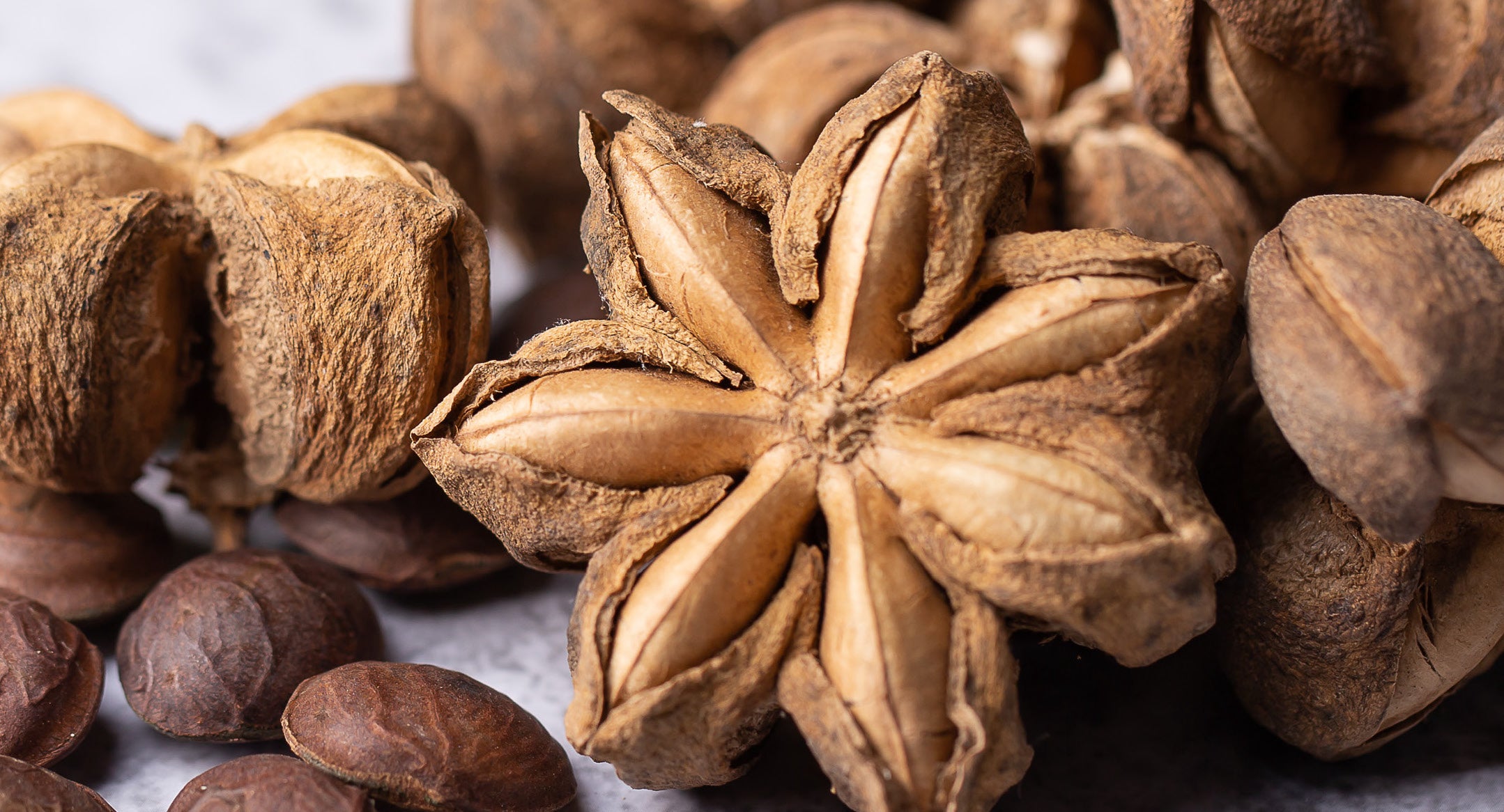 Do you know what Sacha Inchi is and how it helps your beauty? – Dr ...